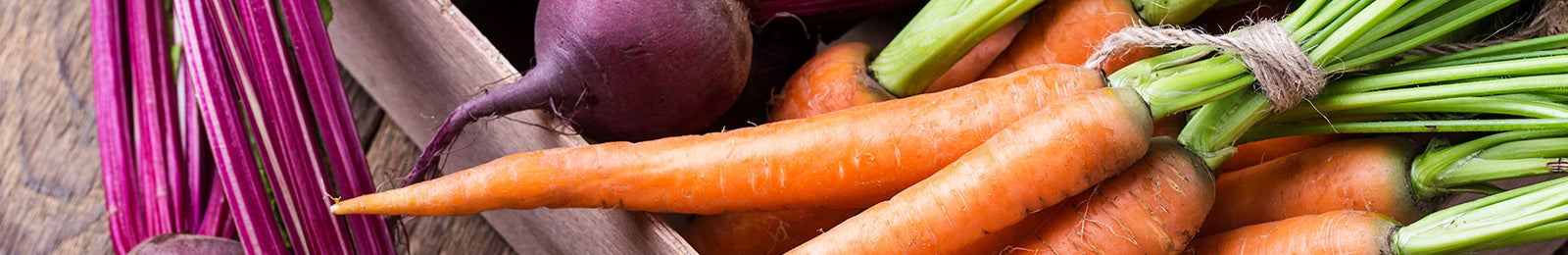 Root Vegetable Seeds – Epic Gardening