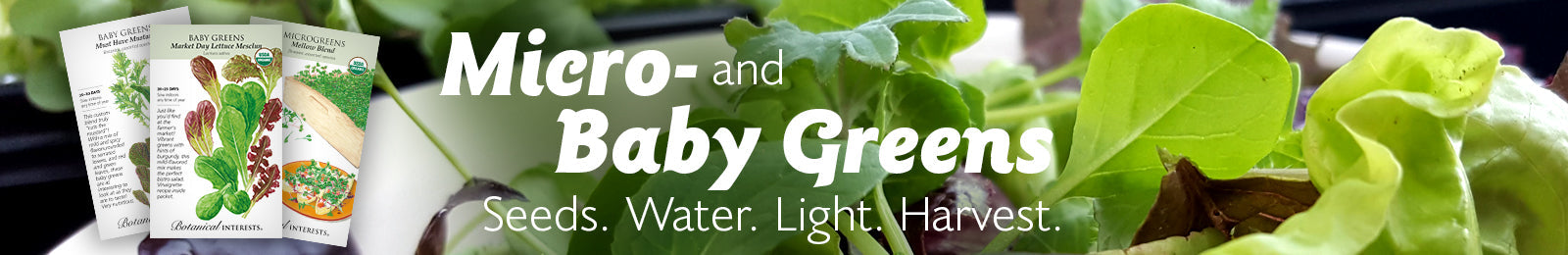 Microgreens & Baby Greens – Epic Gardening