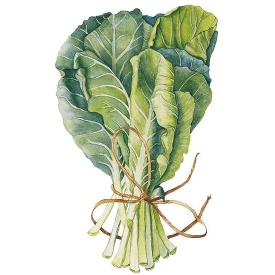 Georgia Southern Collards Seeds – Epic Gardening