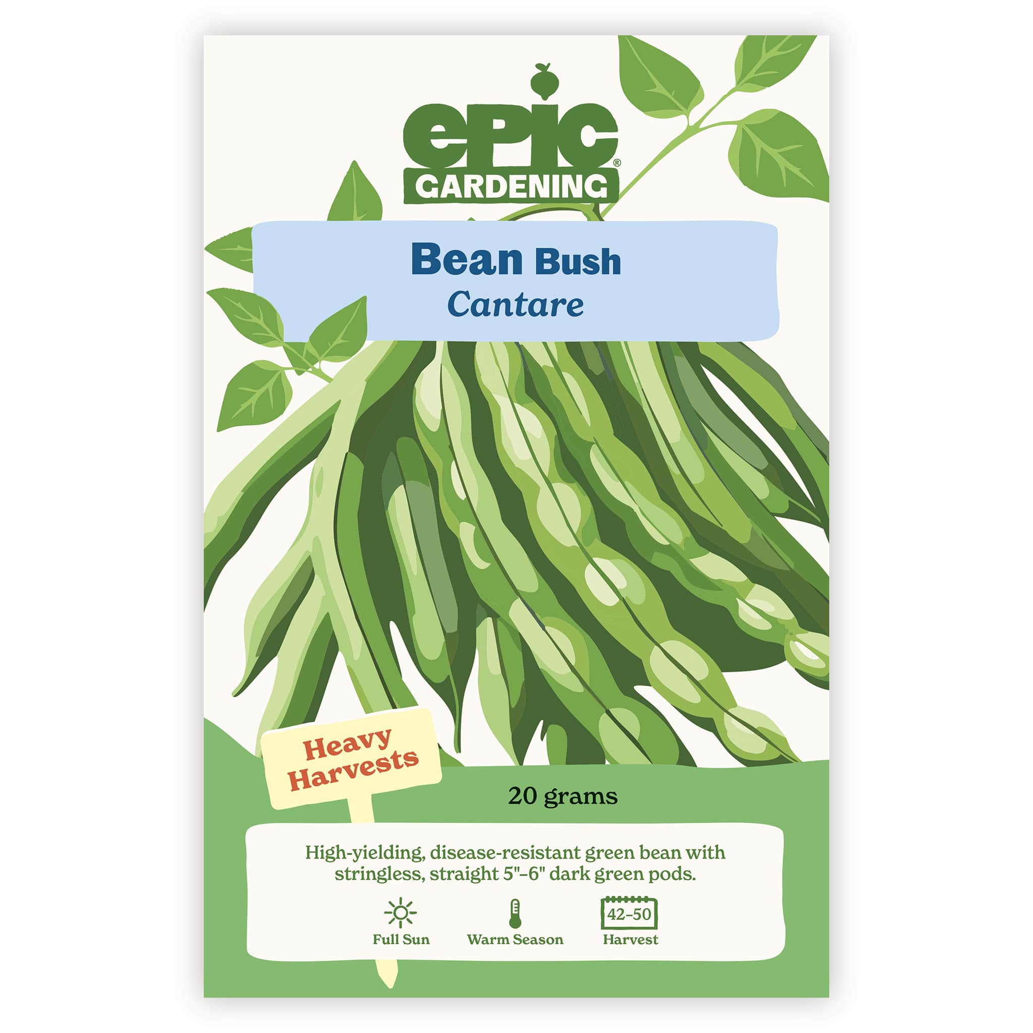 Cantare Bush Bean – Epic Gardening