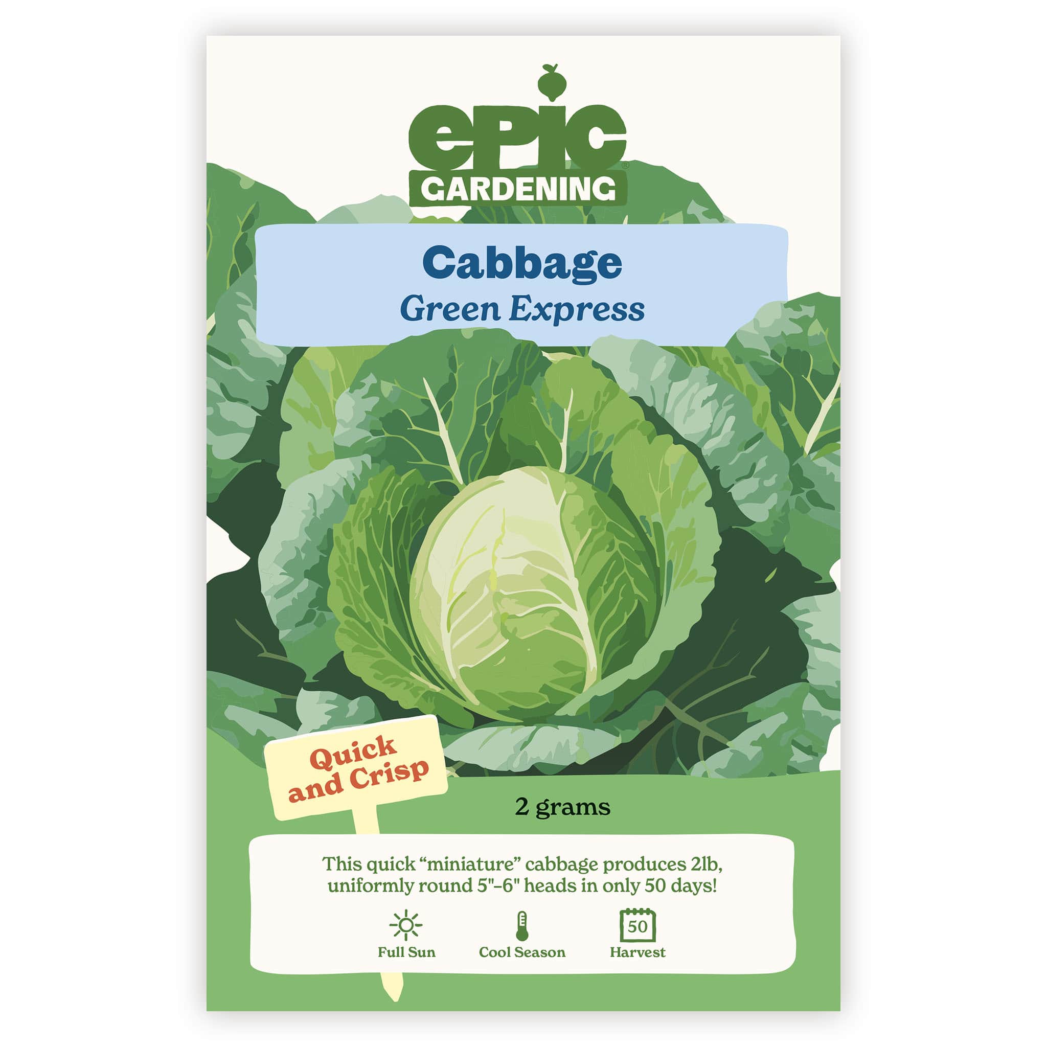 Green Express Cabbage – Epic Gardening