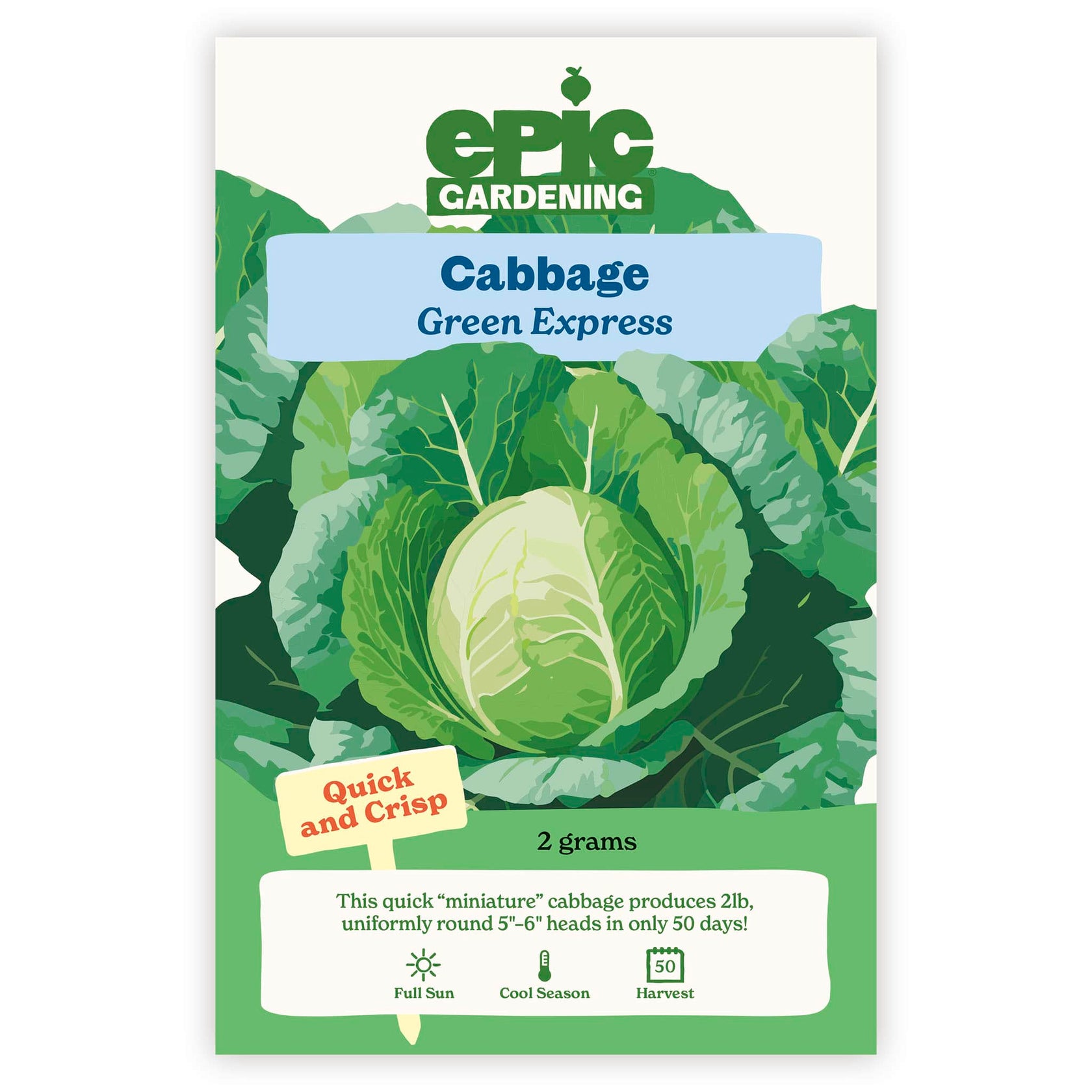 Green Express Cabbage – Epic Gardening