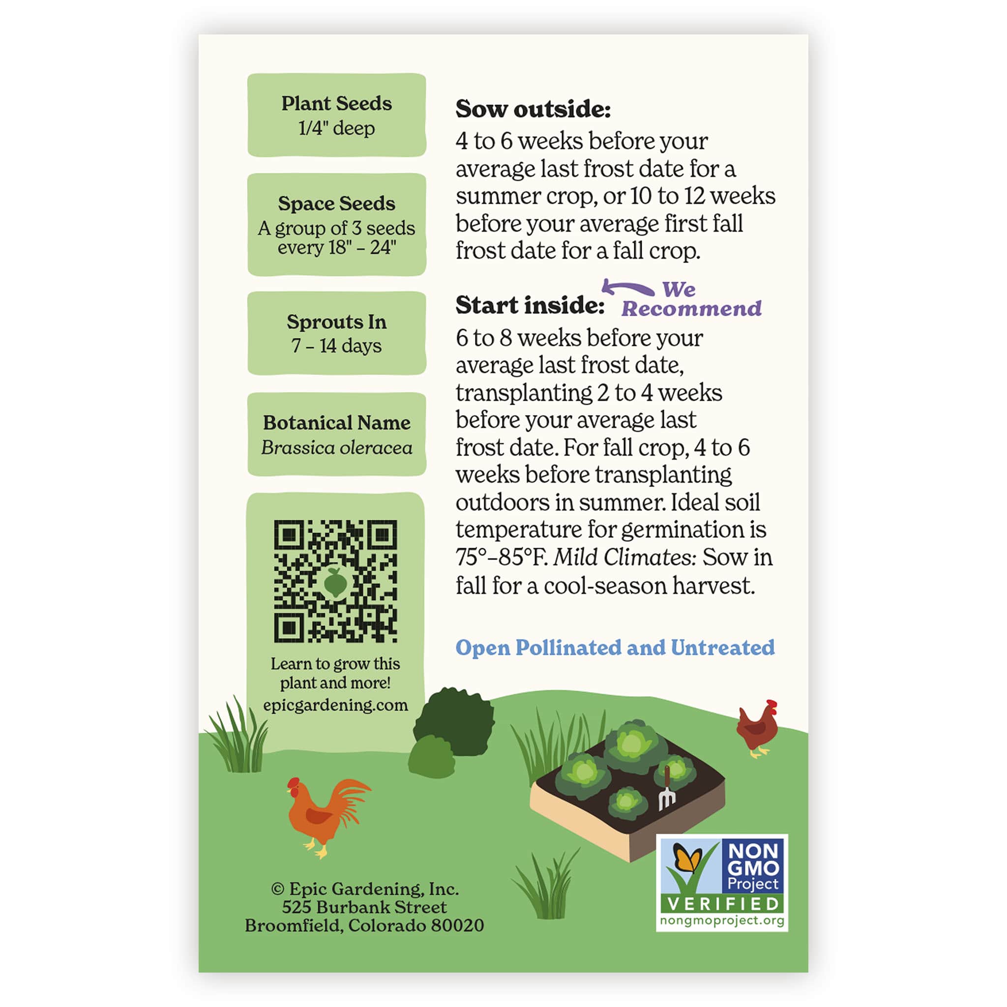 Green Express Cabbage – Epic Gardening