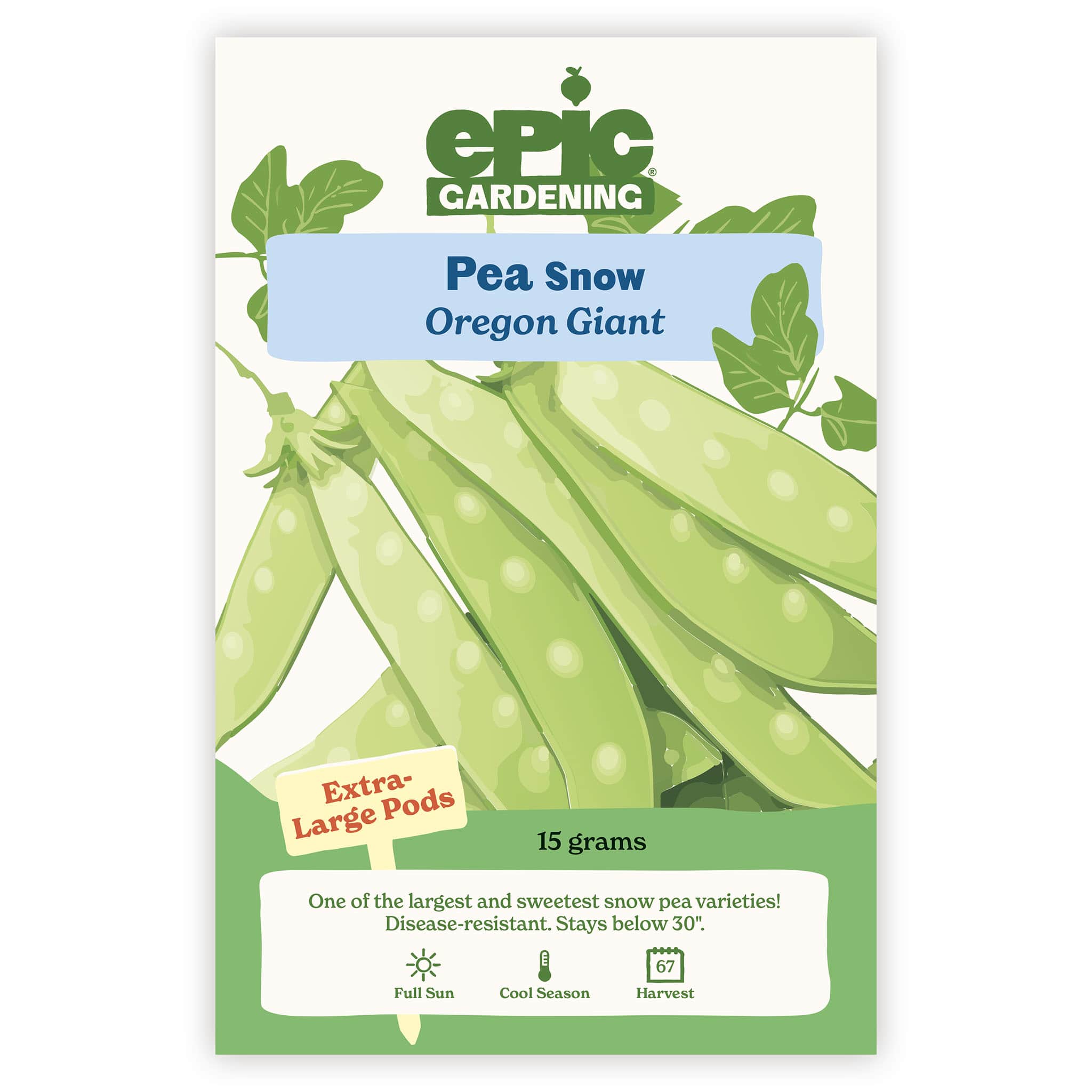 Oregon Giant Snow Pea – Epic Gardening