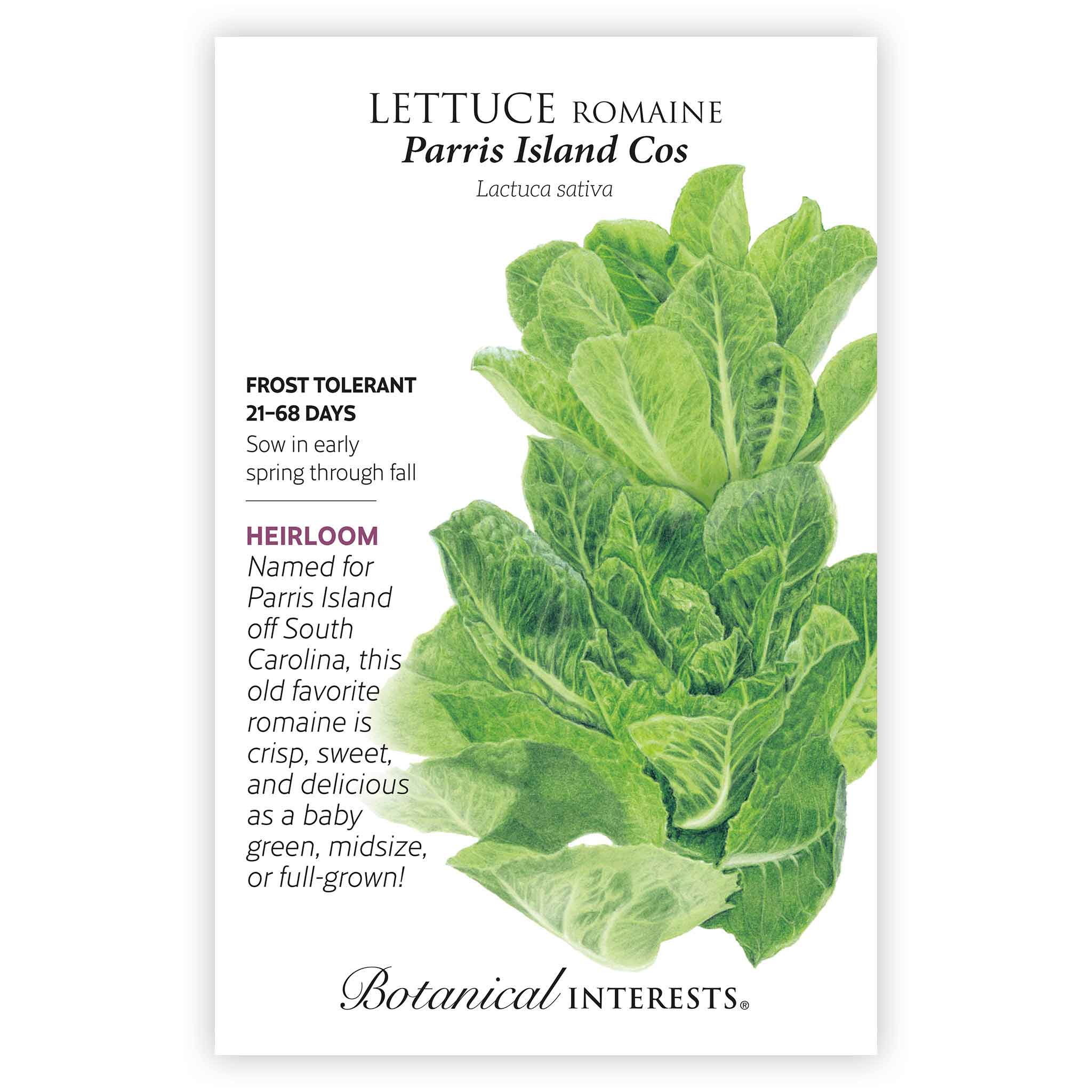 Parris Island Cos Romaine Lettuce Seeds – Epic Gardening