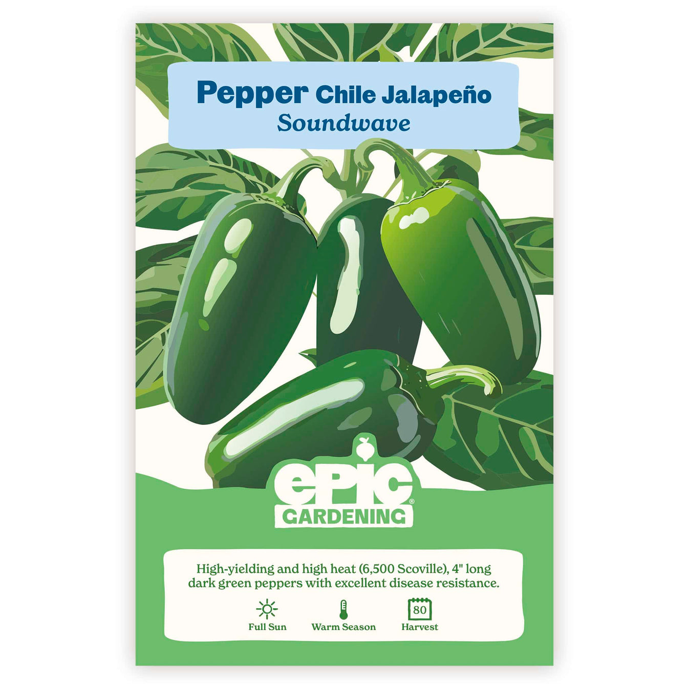 Soundwave Jalapeño Chile Pepper – Epic Gardening