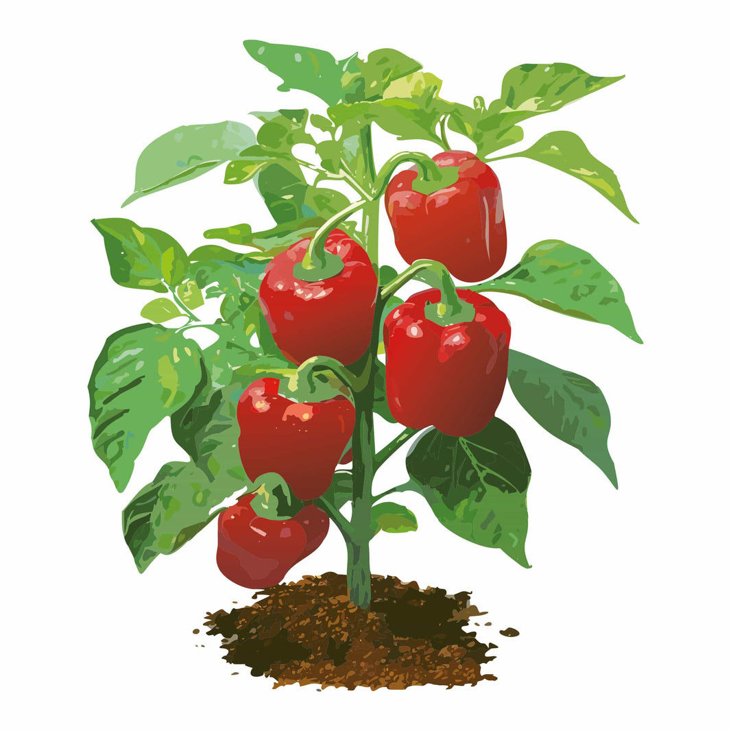 Epic Seeds – Epic Gardening