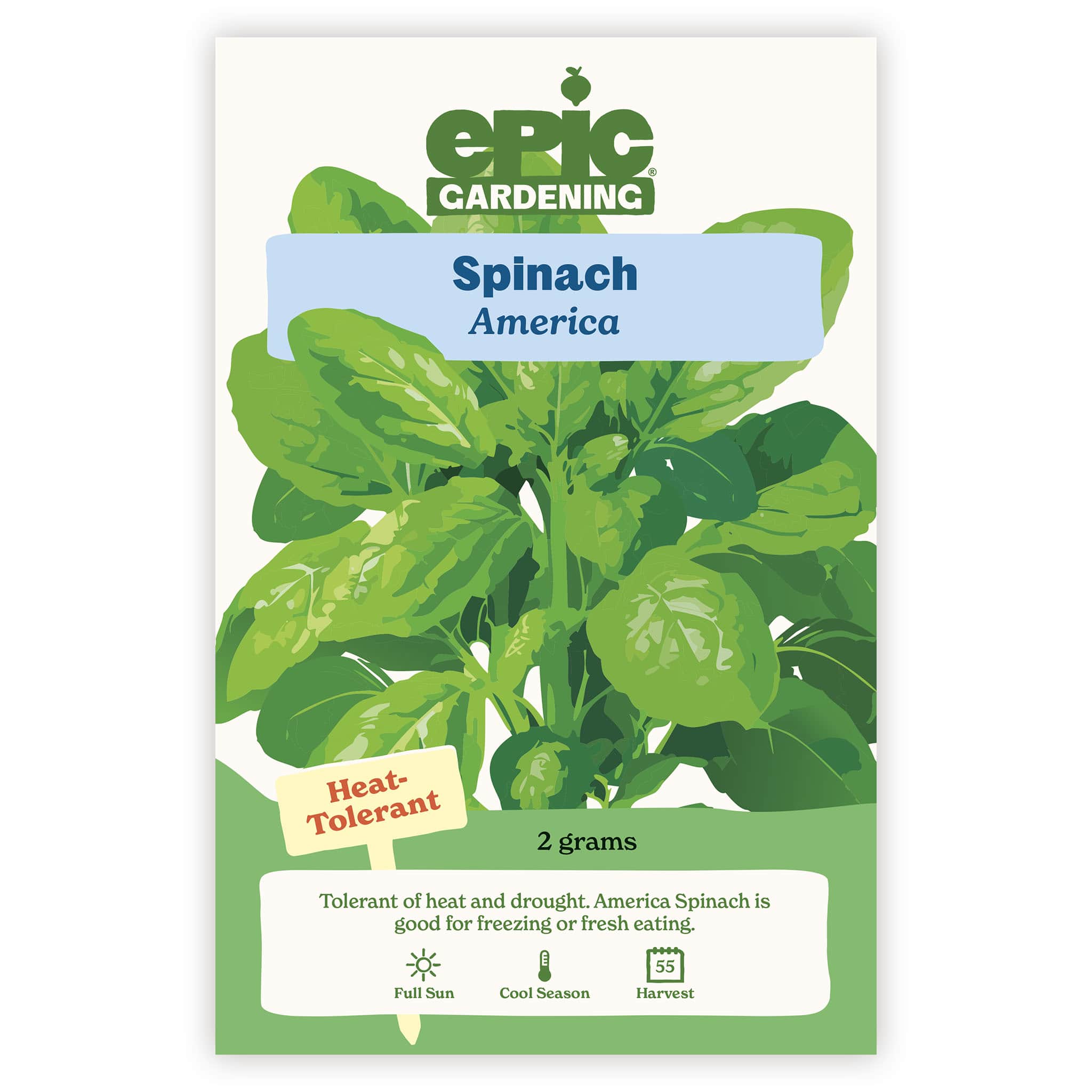 America Spinach – Epic Gardening