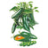 Megatron Jalapeño Chile Pepper Seeds – Epic Gardening