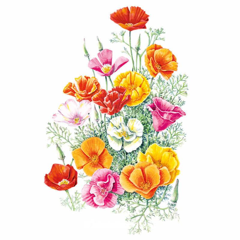Mission Bells California Poppy Seeds – Epic Gardening