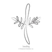 Diablo Cosmos Seeds – Epic Gardening