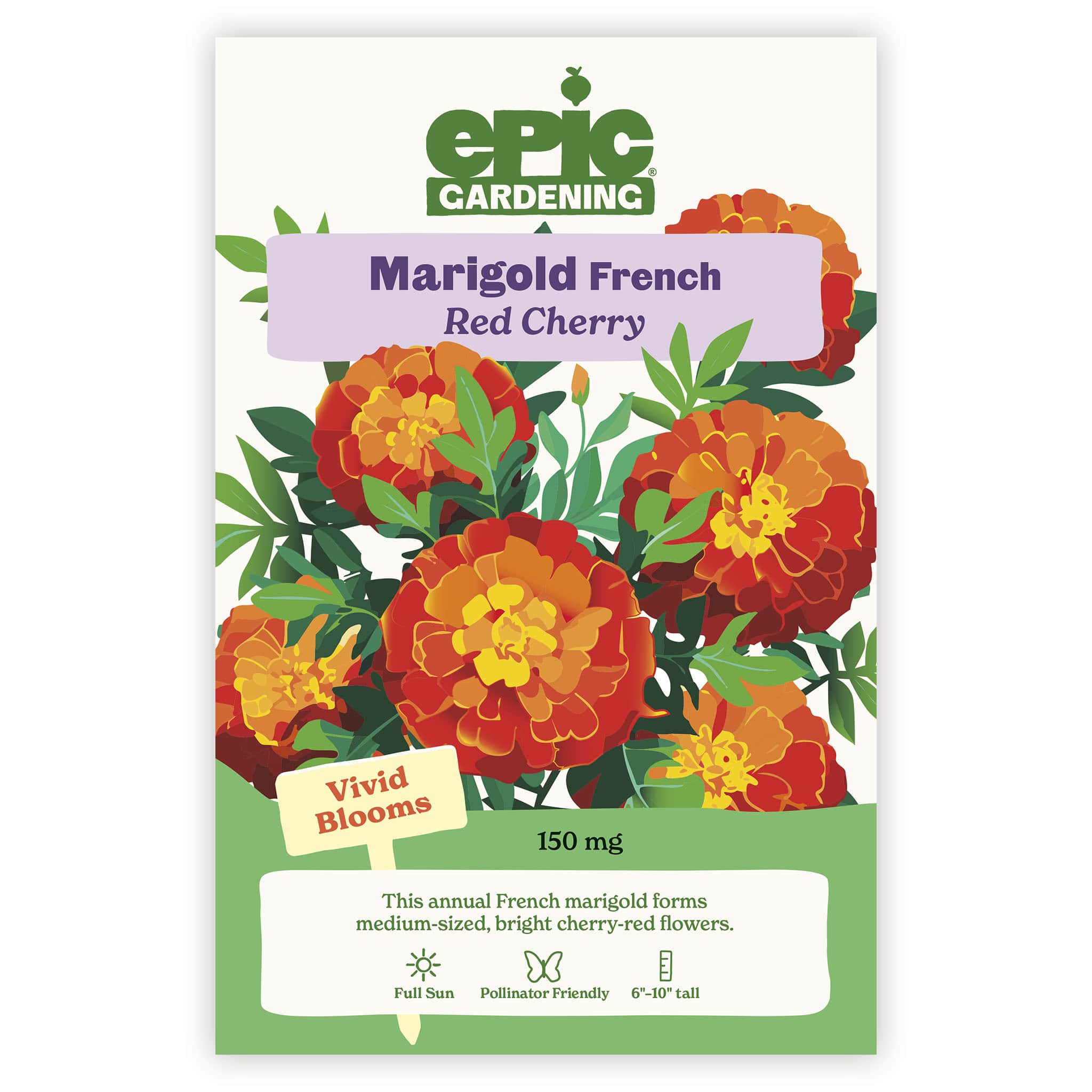 Red Cherry French Marigold – Epic Gardening