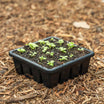 Epic 16-Cell Seed Starting Trays – Epic Gardening