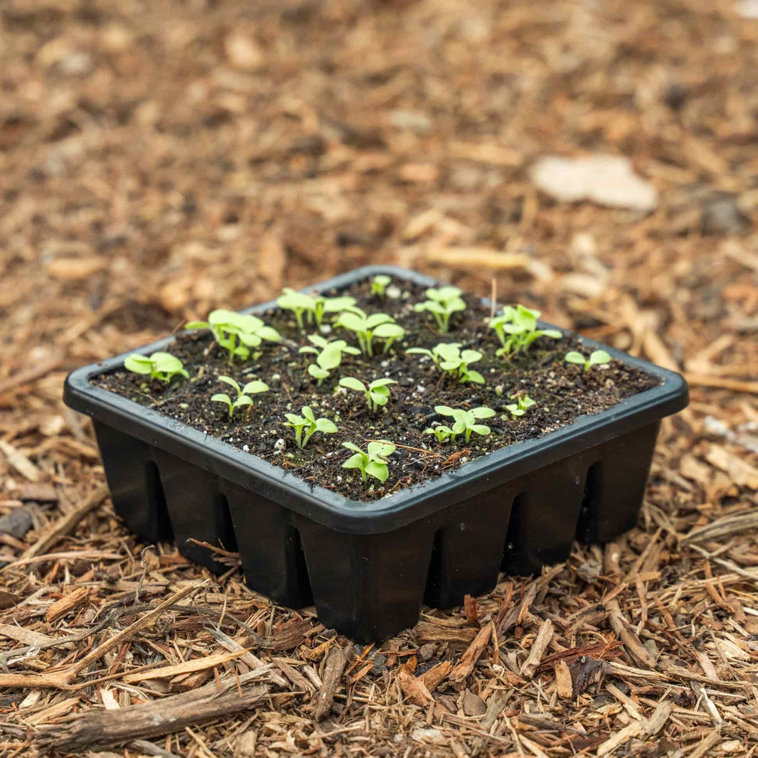 Seed Starting Trays & Pots – Epic Gardening