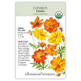 Diablo Cosmos Seeds – Epic Gardening