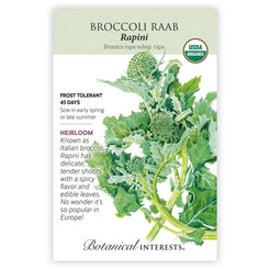 Rapini Broccoli Raab Seeds – Epic Gardening