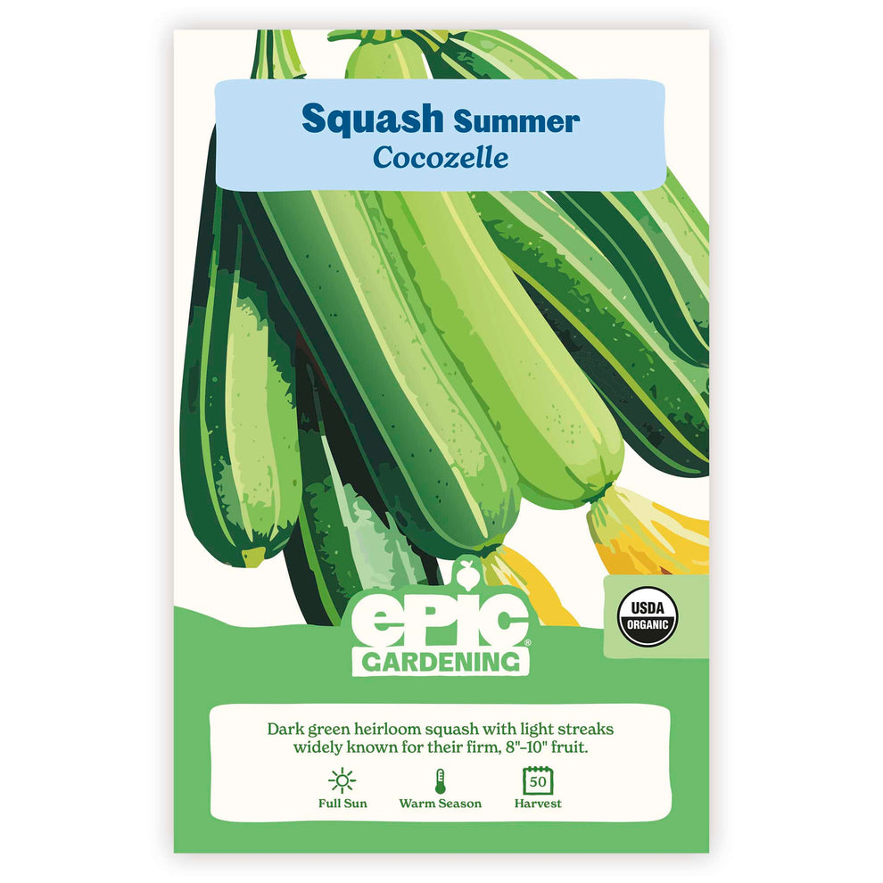 Cocozelle Summer Squash – Epic Gardening