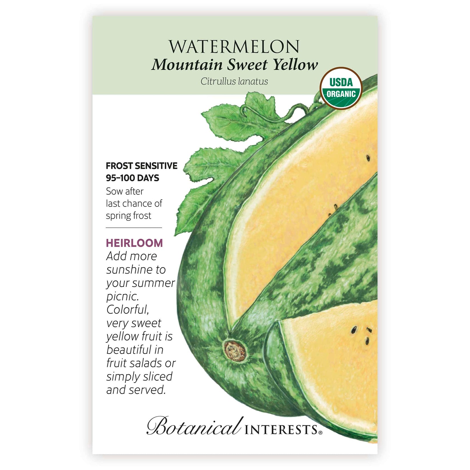 Mountain Sweet Yellow Watermelon Seeds – Epic Gardening