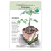 Fortamino Rootstock Tomato Seeds – Epic Gardening