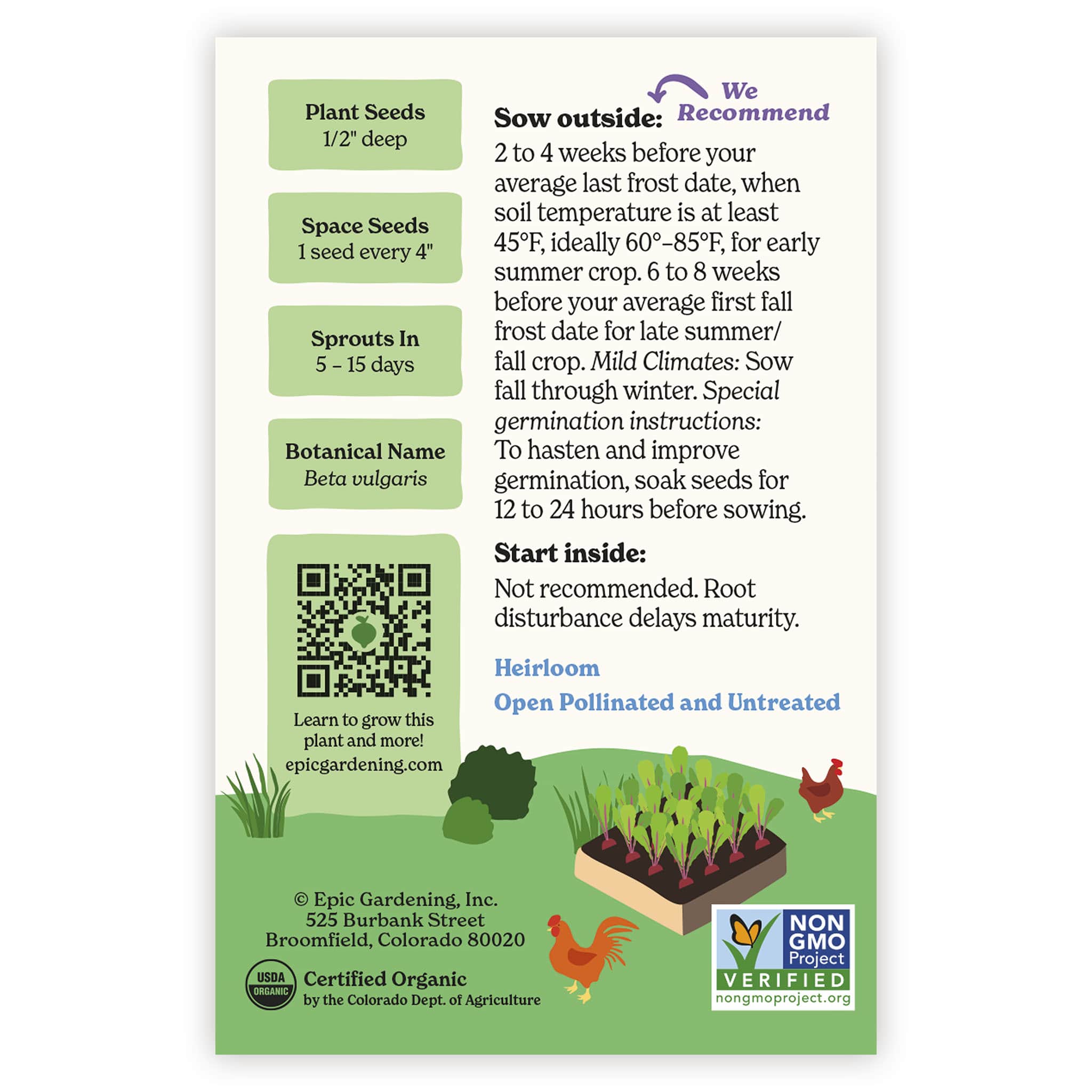 Ruby Queen Beet – Epic Gardening