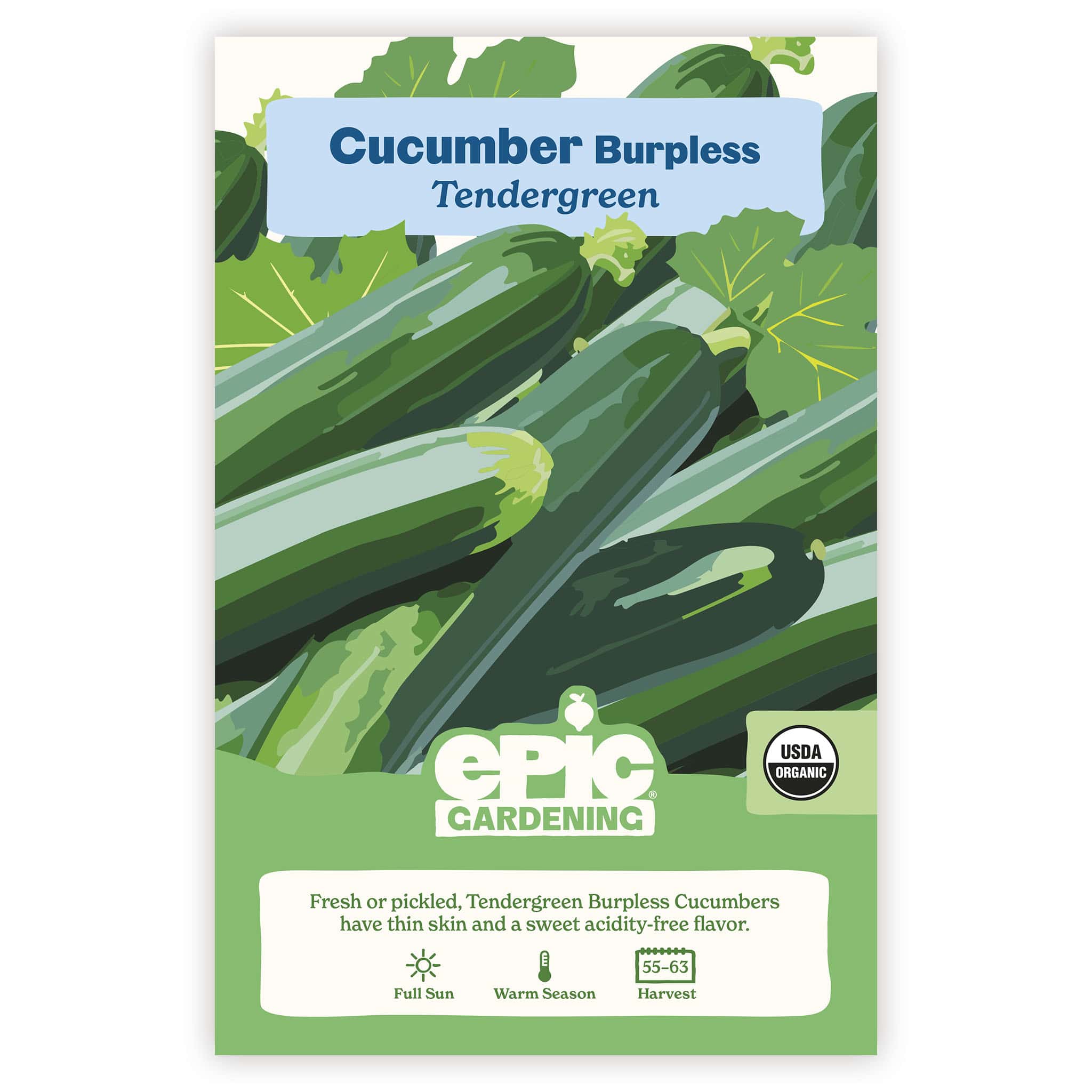 Tendergreen Burpless Cucumber – Epic Gardening