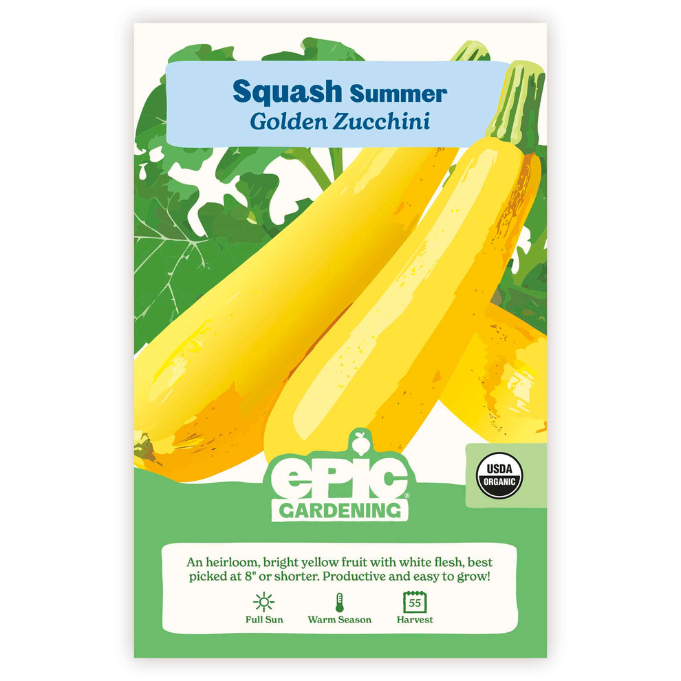 Golden Zucchini Summer Squash – Epic Gardening