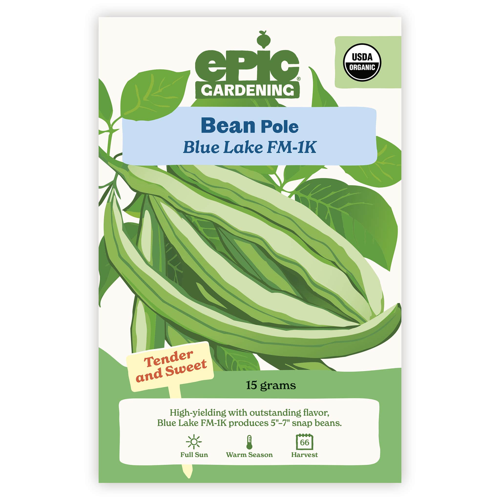 Blue Lake FM-1K Pole Bean – Epic Gardening