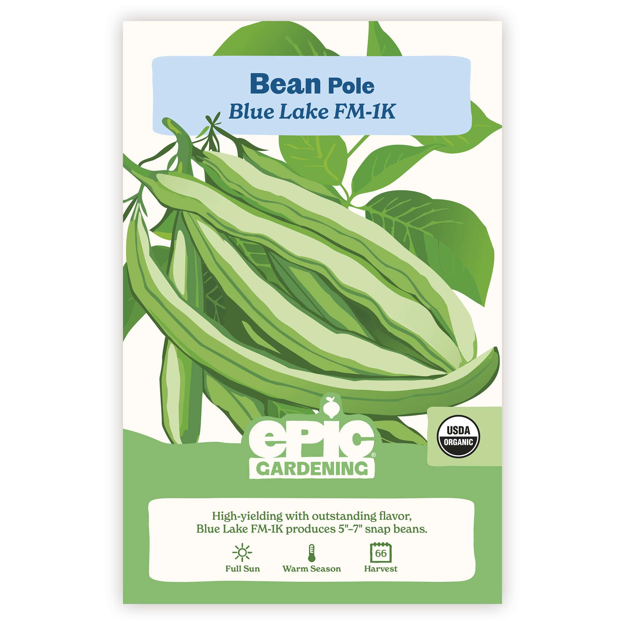 Blue Lake FM-1K Pole Bean – Epic Gardening