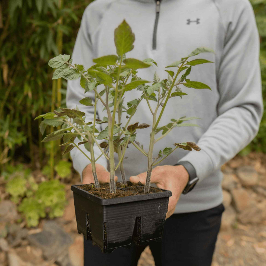 Epic 4-Cell Seed Starting Trays – Epic Gardening
