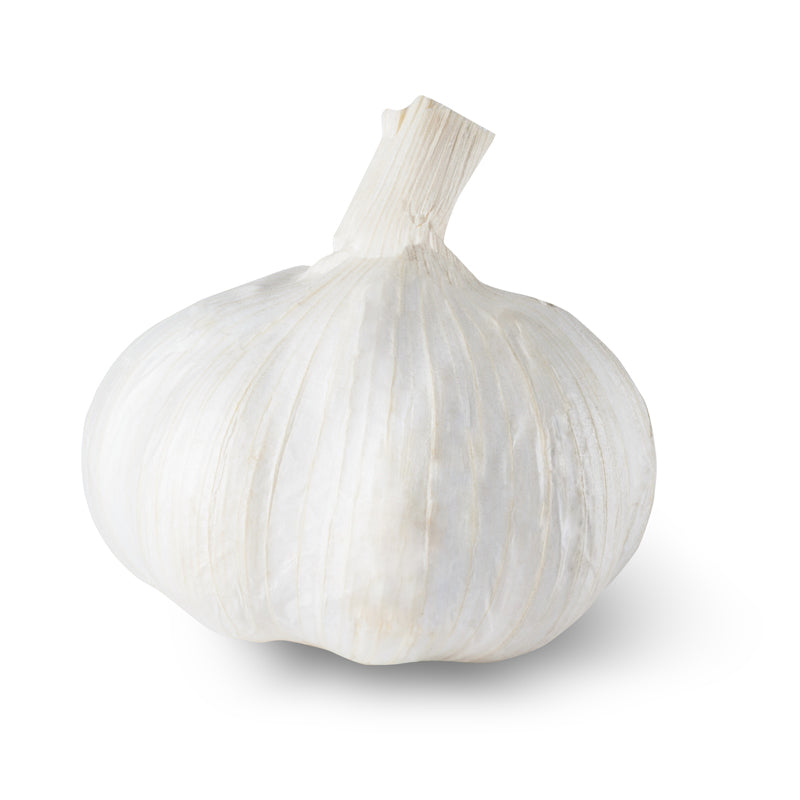 Silver White Softneck Garlic - USDA Certified Organic – Epic Gardening