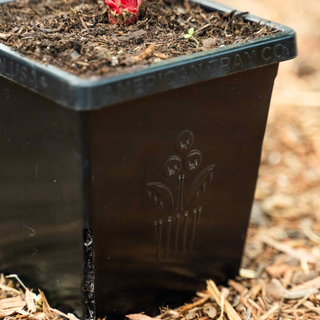 Epic 5” Cube Pot – Epic Gardening