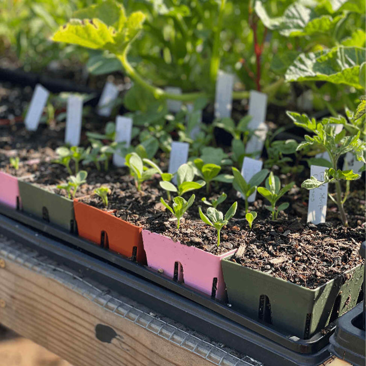 Epic 4-Cell Seed Starting Trays – Epic Gardening