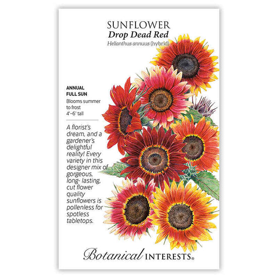 Drop Dead Red Sunflower Seeds – Epic Gardening