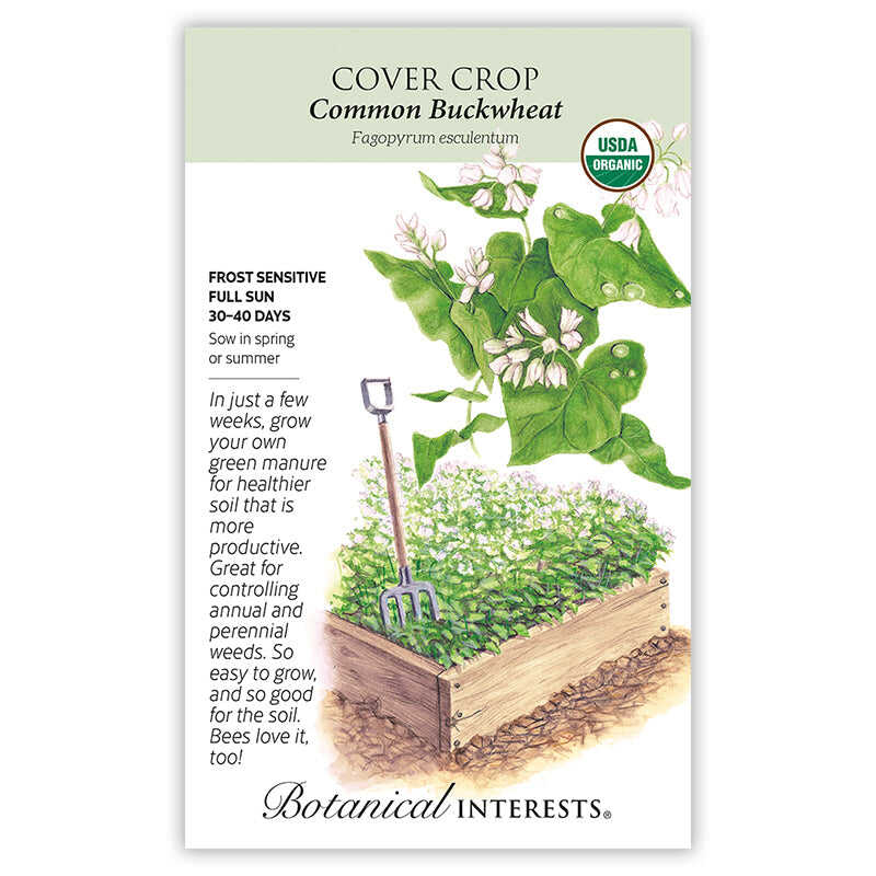 Common Buckwheat Cover Crop Seeds – Epic Gardening