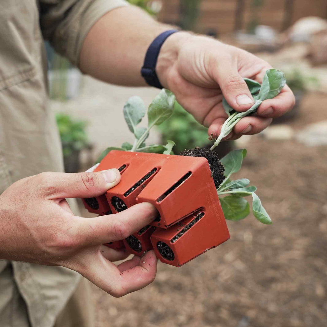 Seed Starting Supplies – Epic Gardening