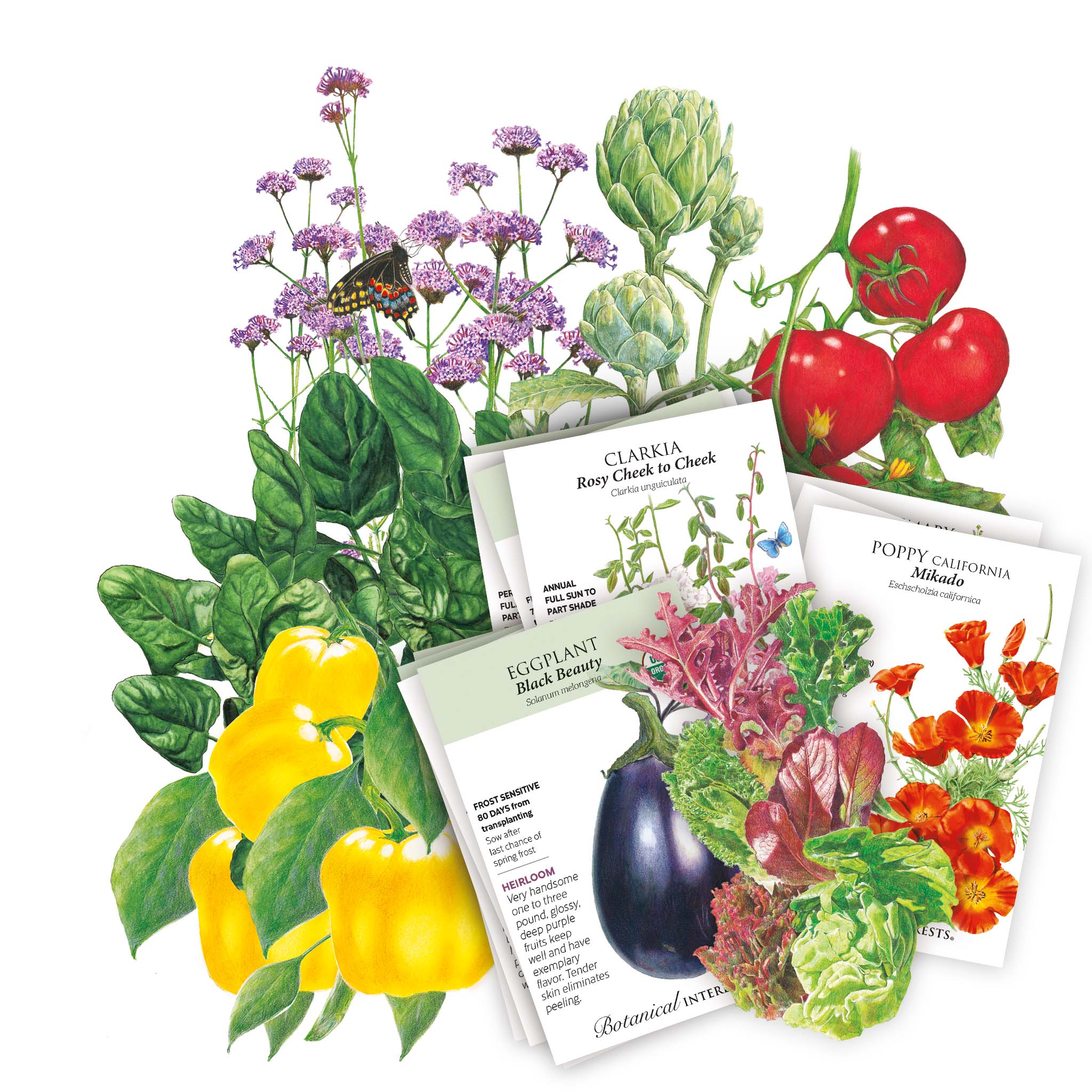 Coastal California Seed Bundle – Epic Gardening