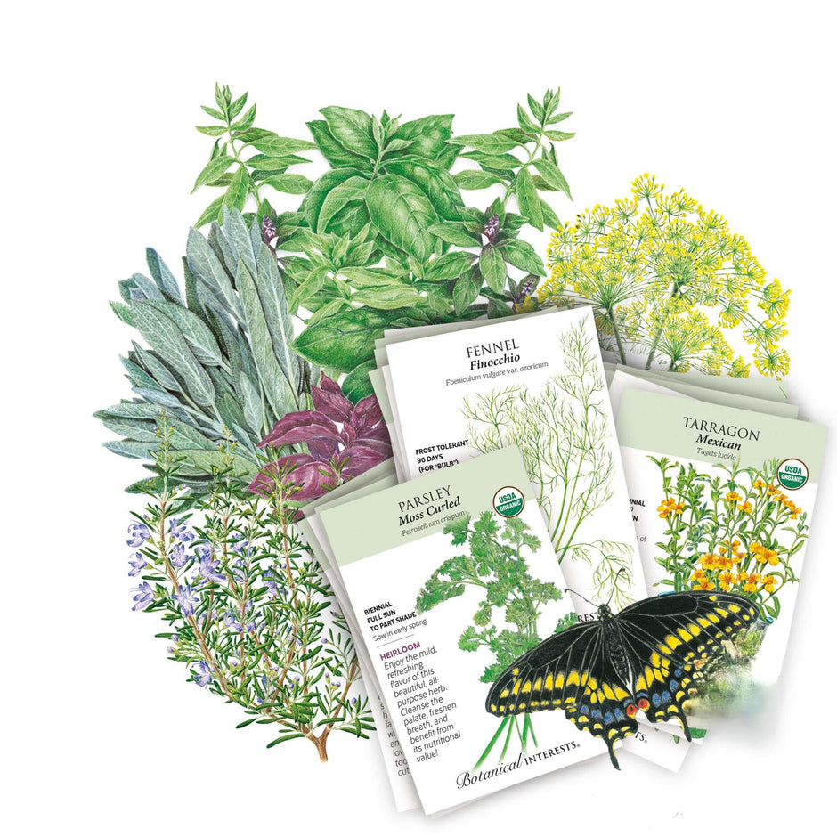 Botanical Interests Seed Bundles – Epic Gardening
