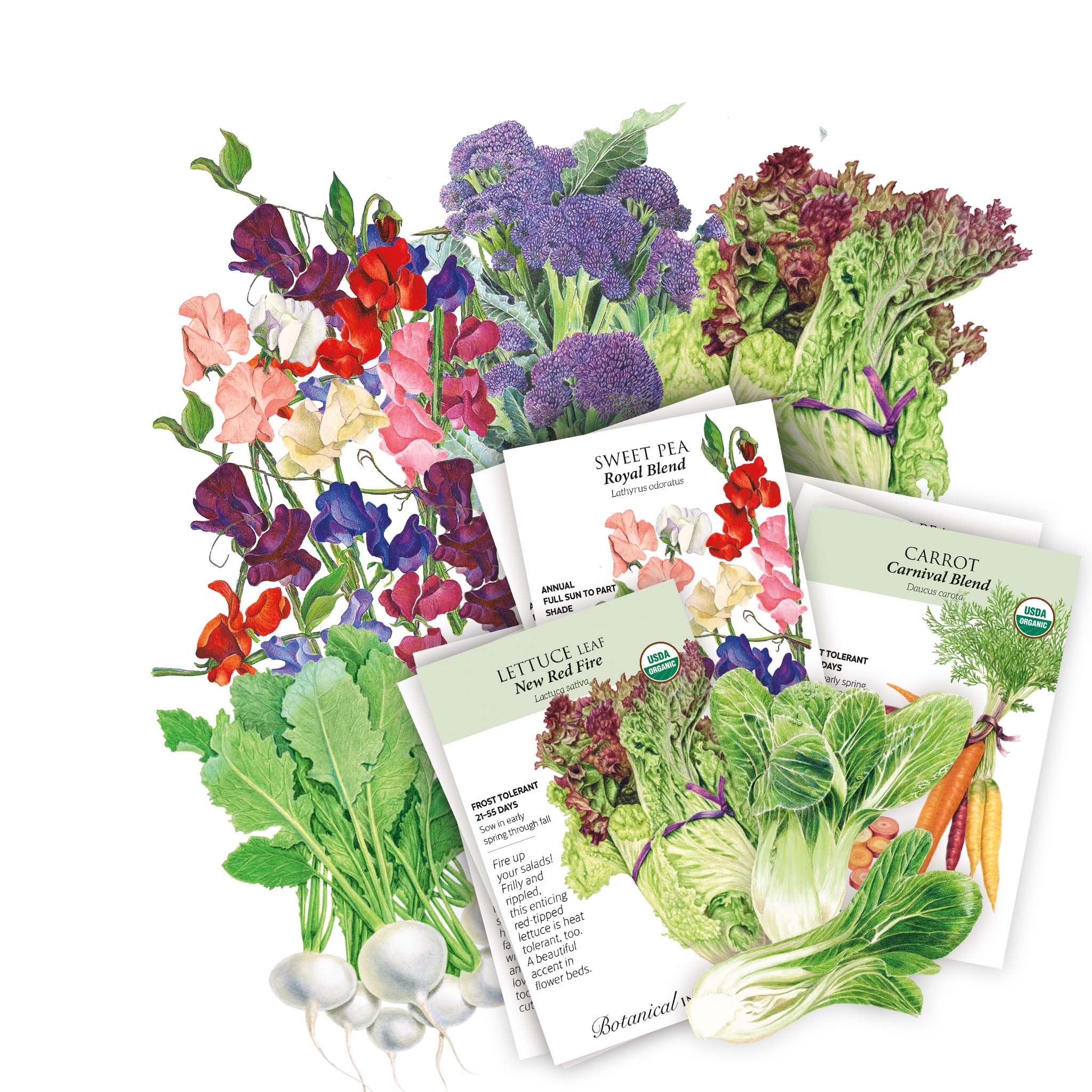 Cool Season Garden Seed Bundle – Epic Gardening