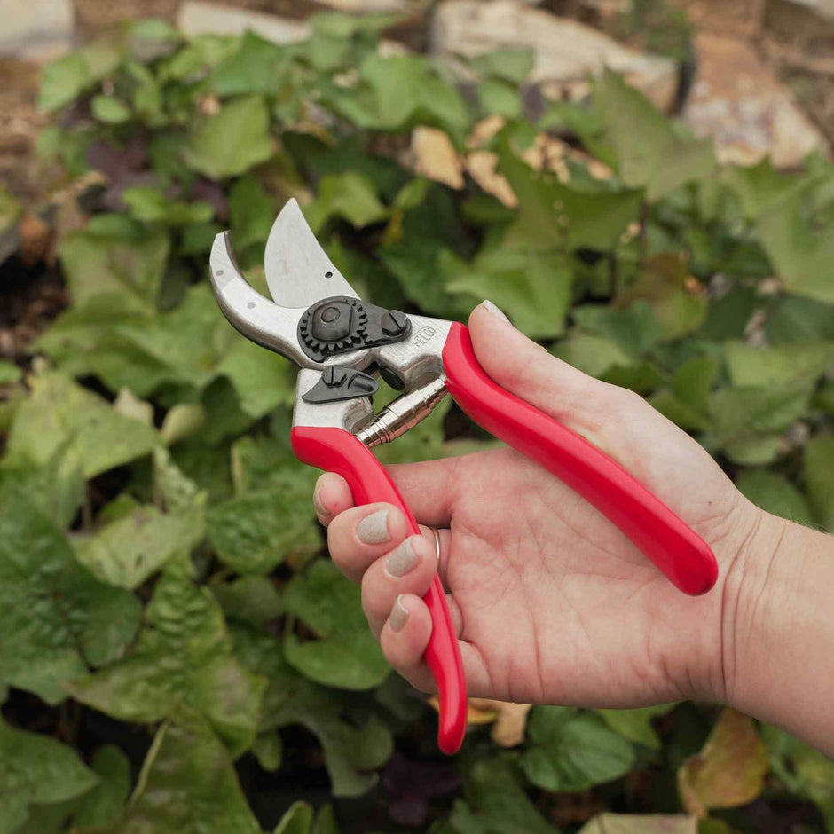 Gardening Tools – Epic Gardening