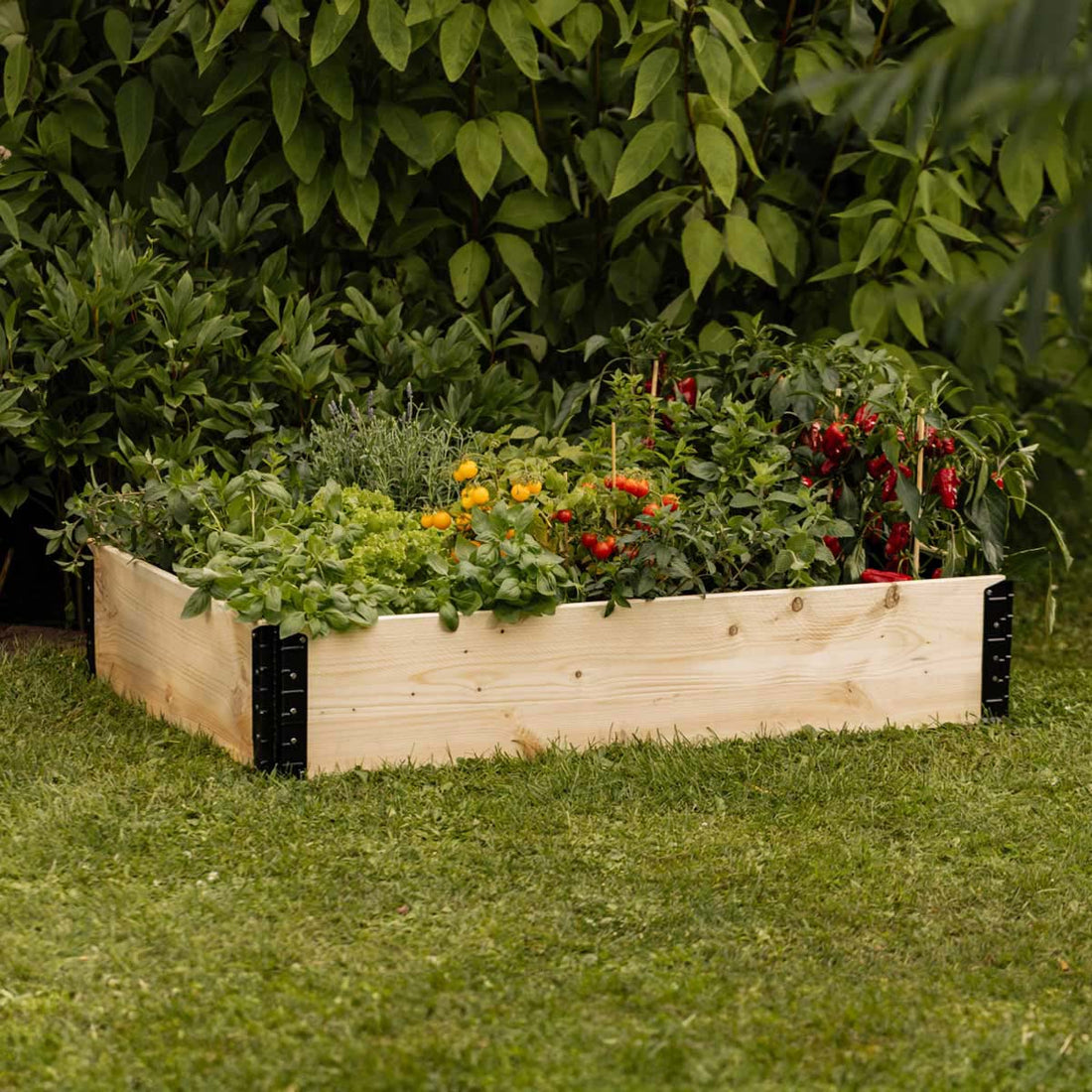 Epic GardenBox – Epic Gardening
