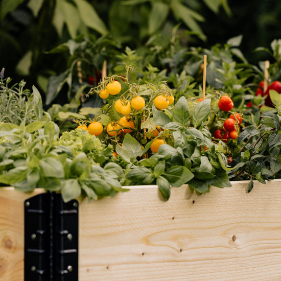 Epic GardenBox – Epic Gardening