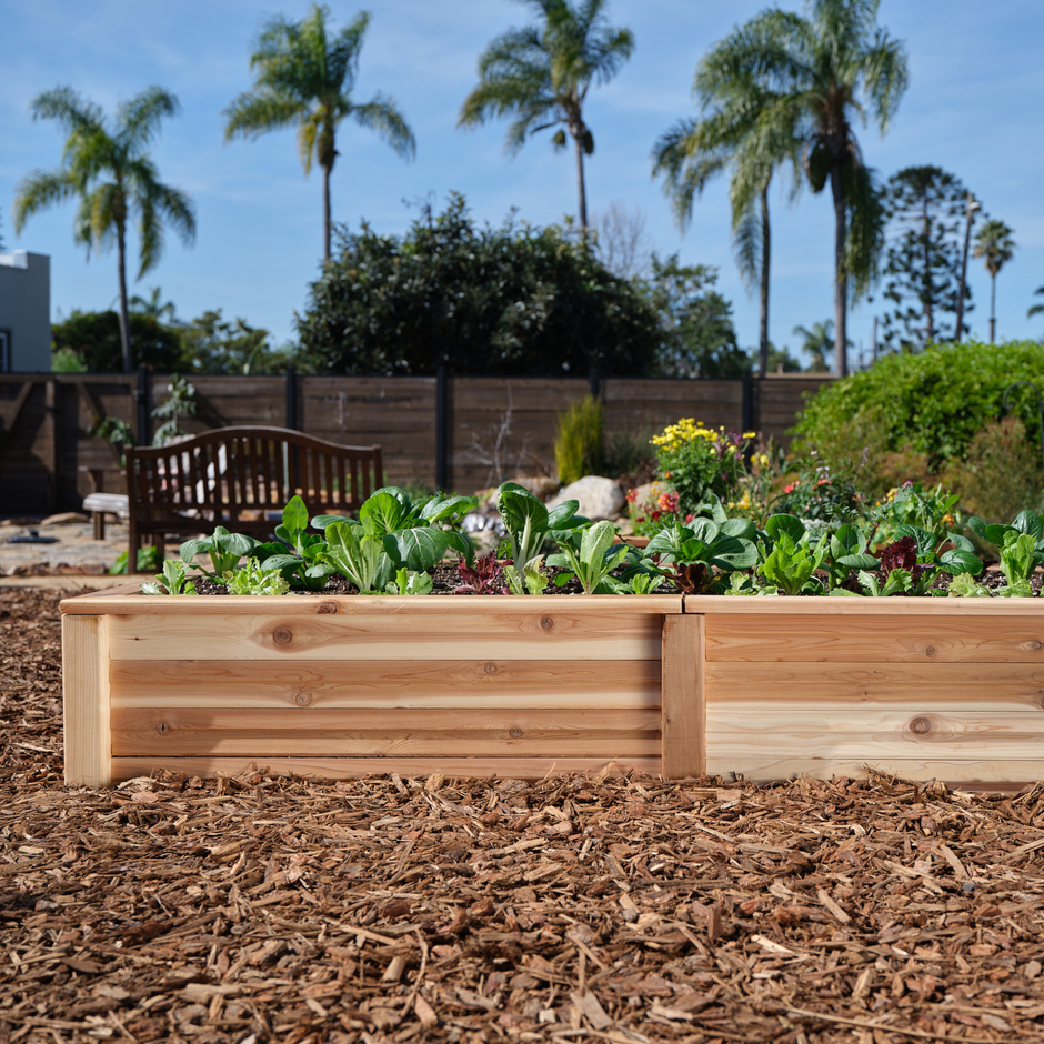 Cedar Wood Raised Garden Bed Kits – Epic Gardening