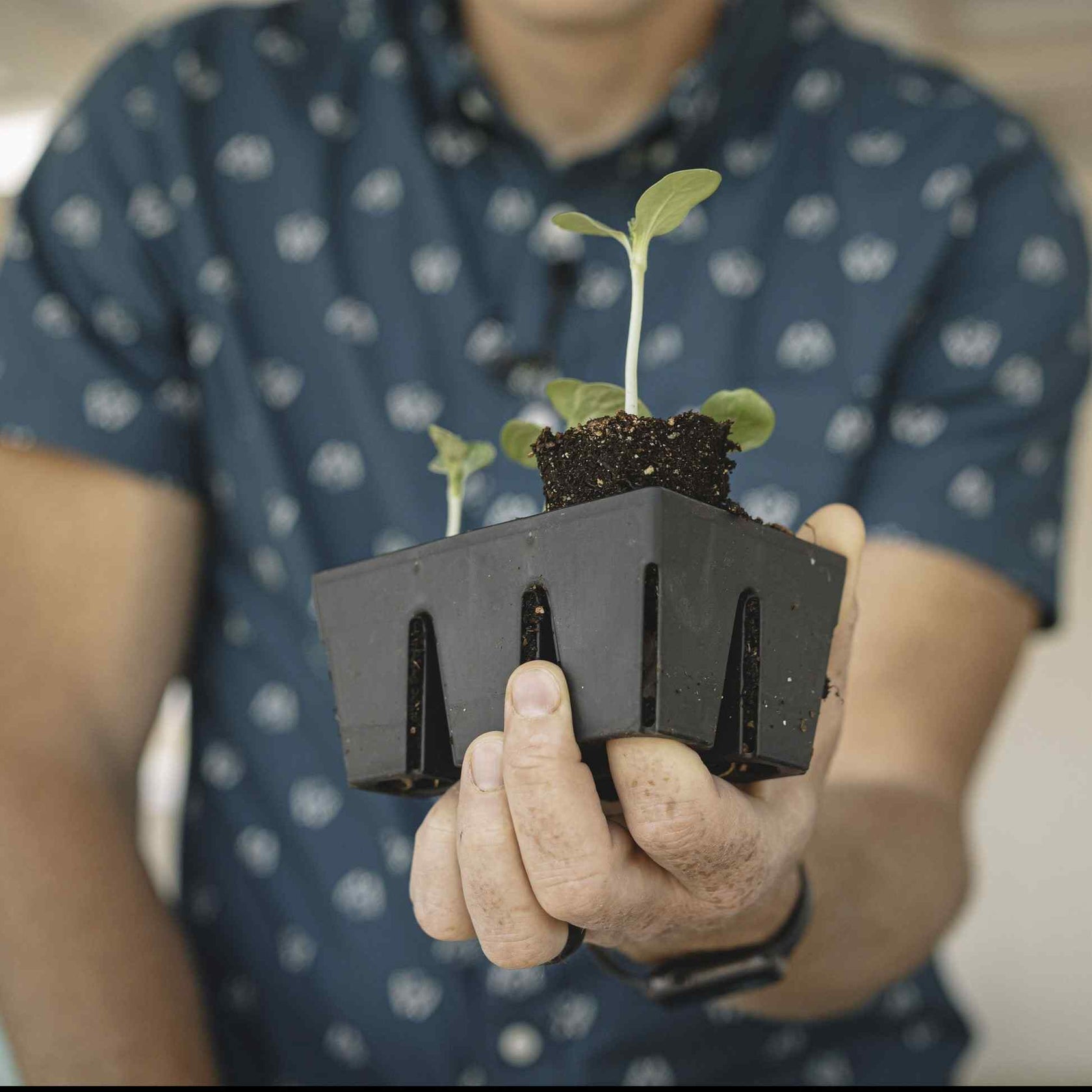 The Premium Seed Starting Kit – Epic Gardening