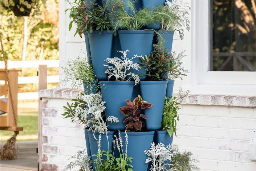 Epic Seeds – Epic Gardening