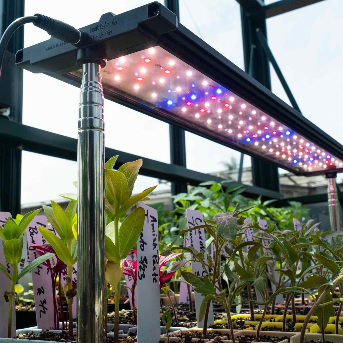 Epic Seed Starting Grow Lights Standard – Epic Gardening