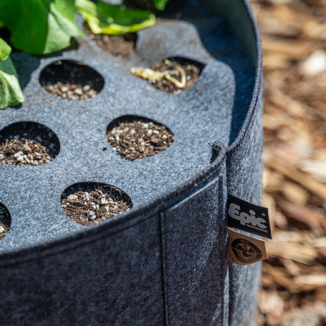 Fabric Grow Bags – Epic Gardening