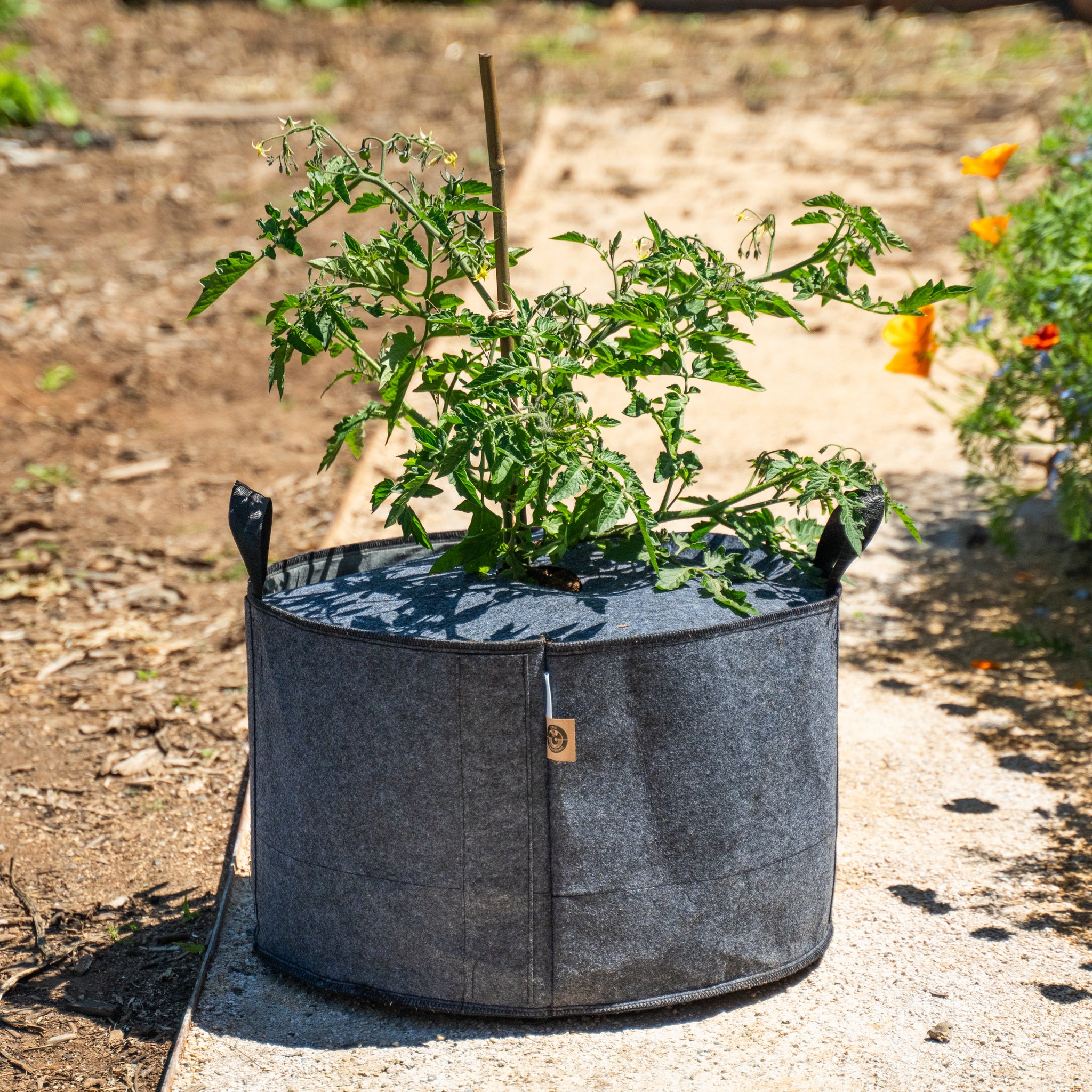 Plantable Fabric Covers – Epic Gardening