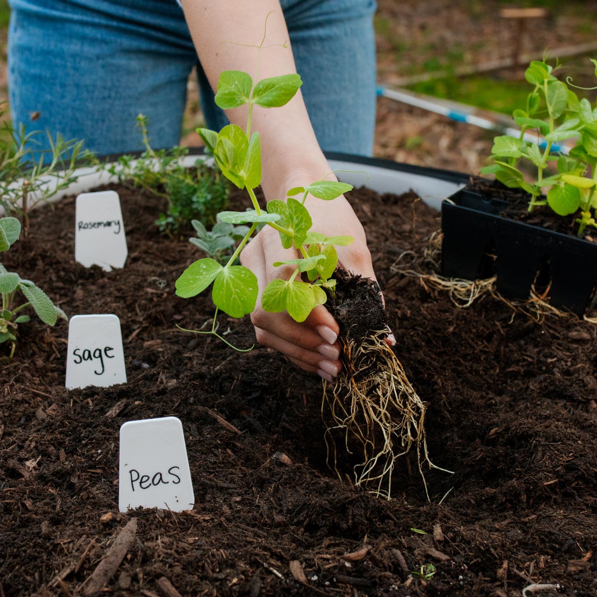 Epic Plant Tags – Epic Gardening