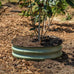 Metal Tree Surround - 8” Tall – Epic Gardening