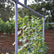 Vegetable Garden Freyr Trellis – Epic Gardening